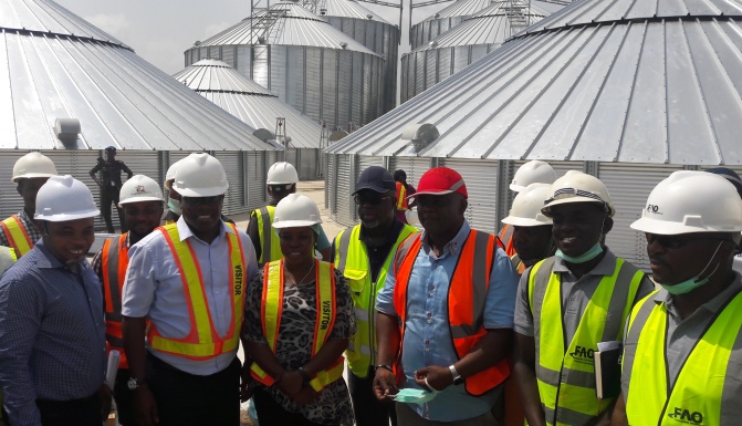 Lagos to flood market with rice as Imota rice mill ready next year